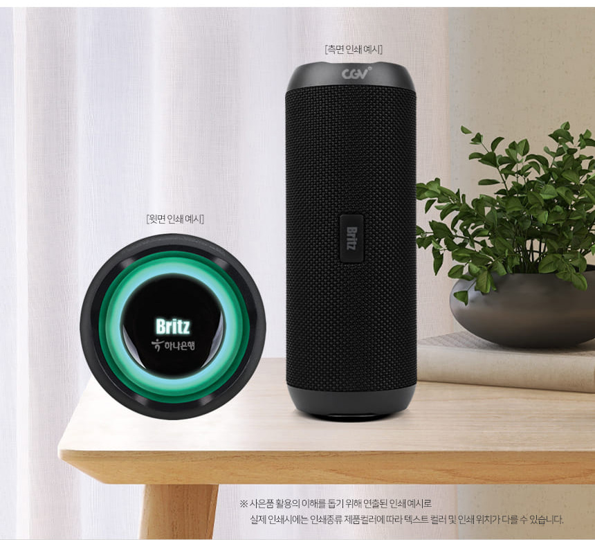 브리츠 휴대용 블루투스 스피커 BZ-MV5000_Britz